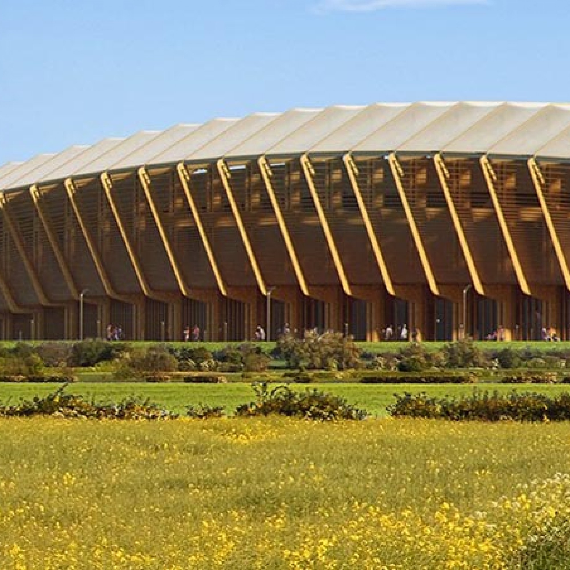 Bientôt le premier stade construit entièrement en bois | Batimag